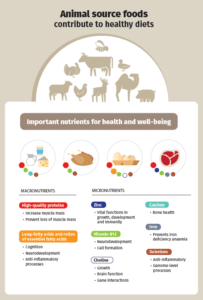 FAO highlights contribution of animal source foods to healthy diets ...