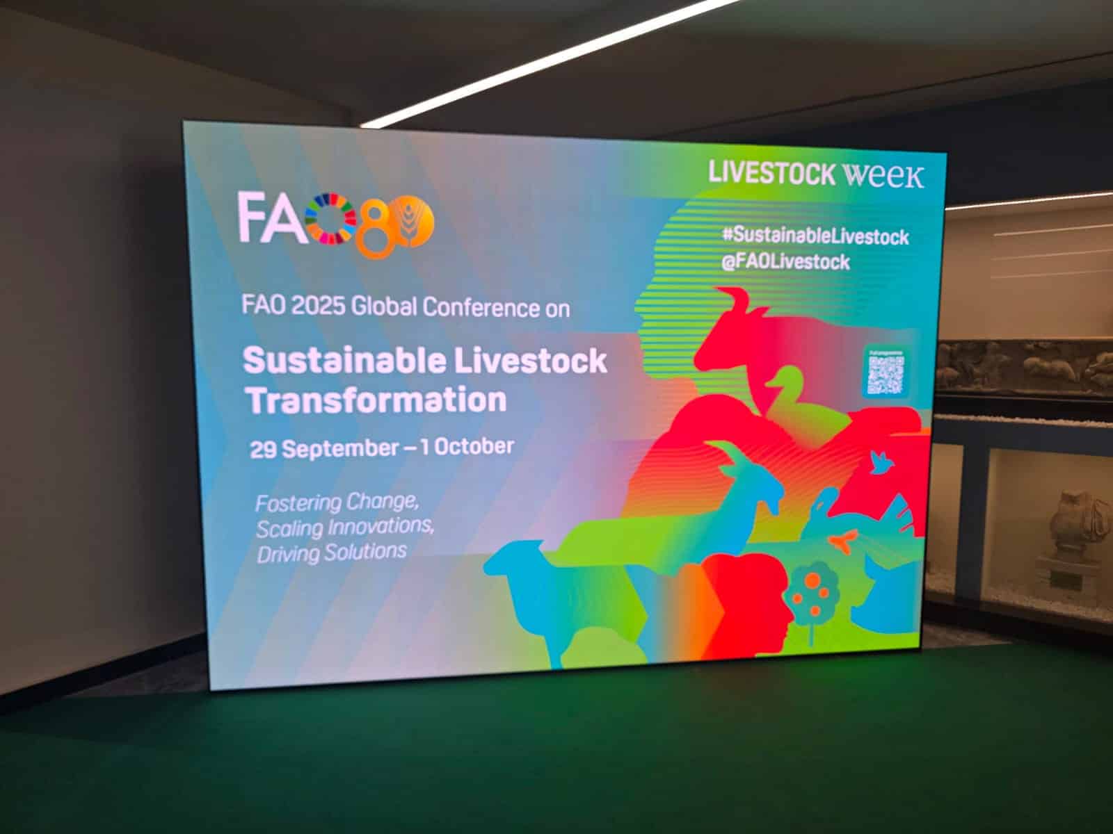 Fao S Sustainable Livestock Transformation Conference International
